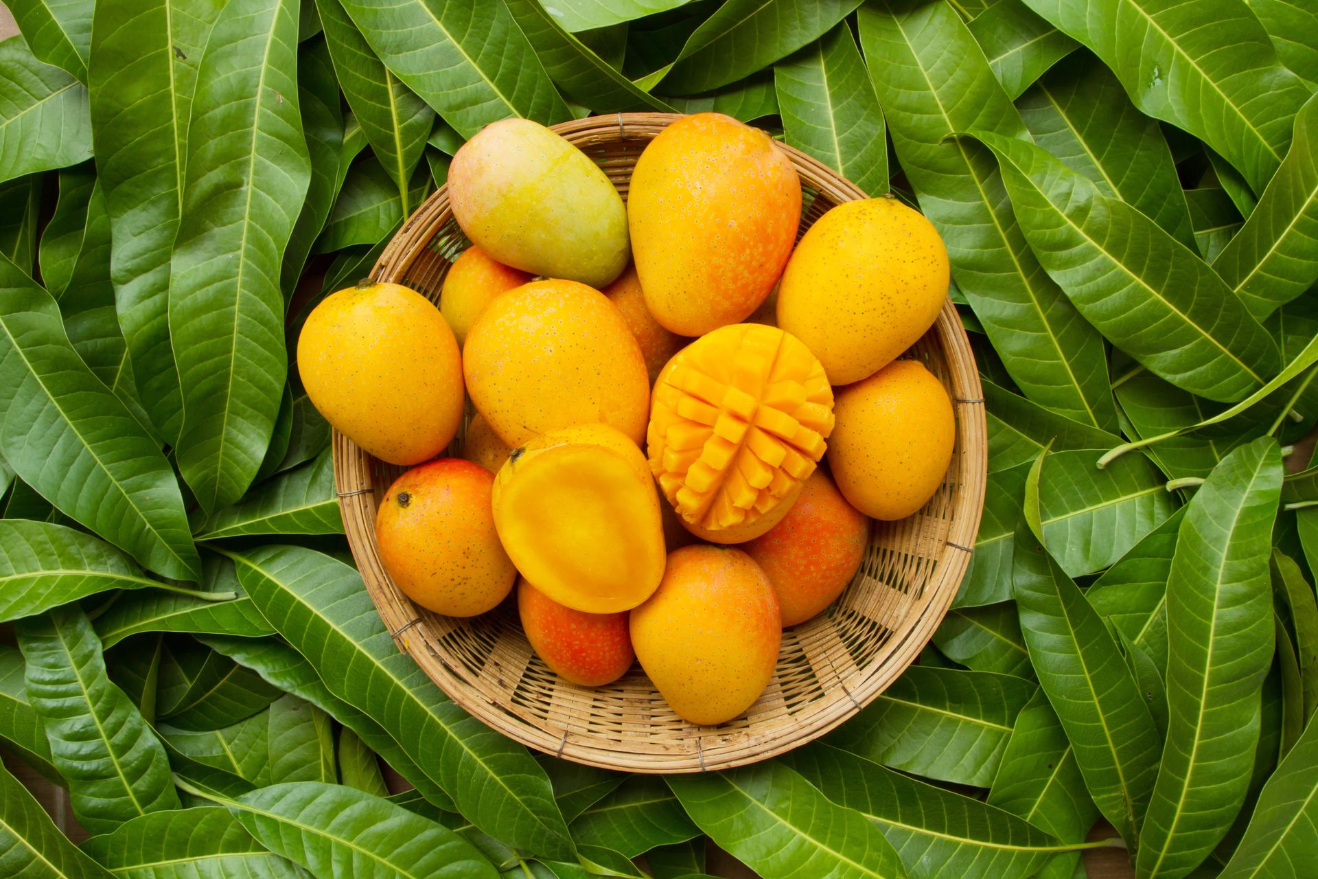 Mango for Runners and Hikers | Jara Fruits